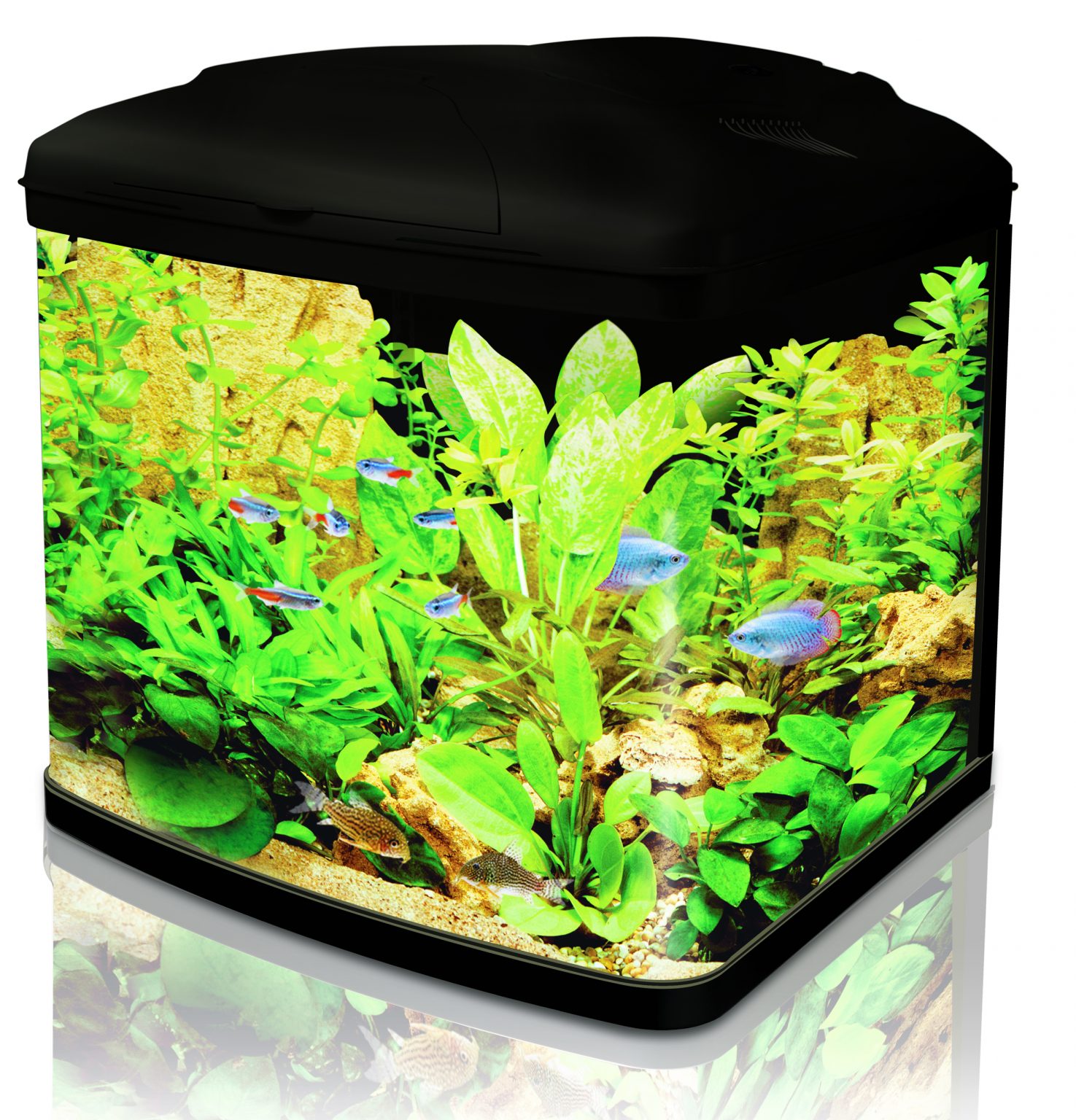 Interpet - Fish Pod 48L Aquarium - CF1