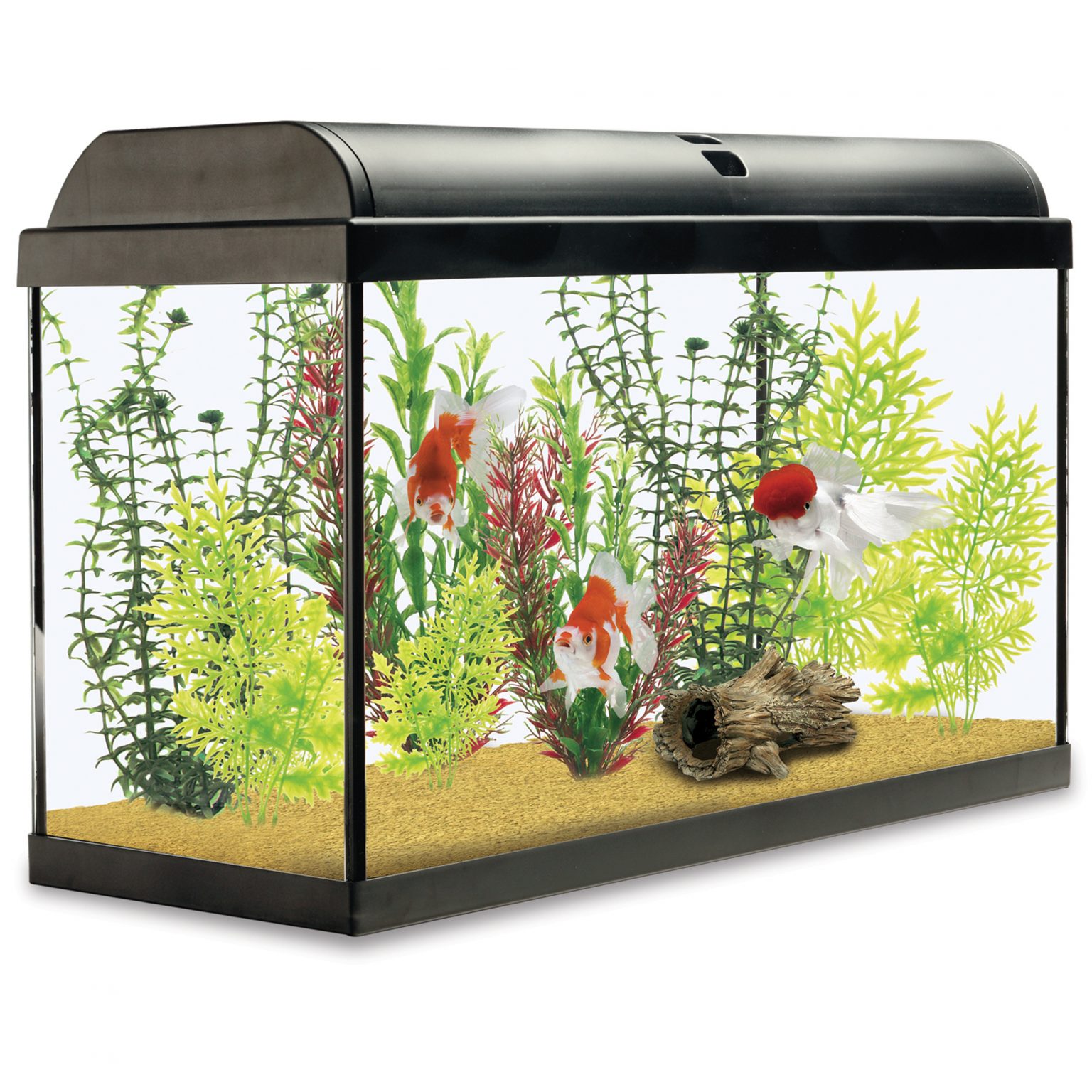 Interpet - Aquariums-Aq