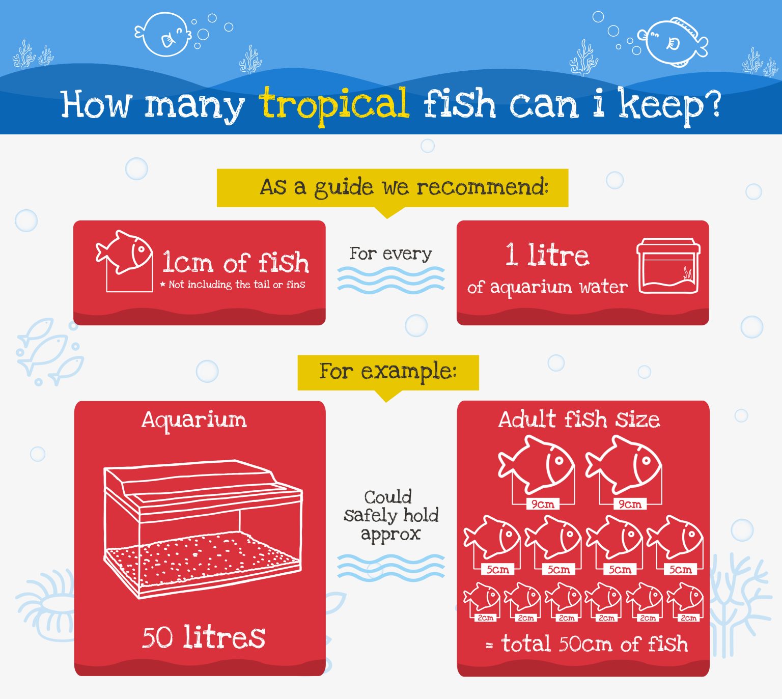 How Many Fish? - Fish & Aquarium Care | Interpet