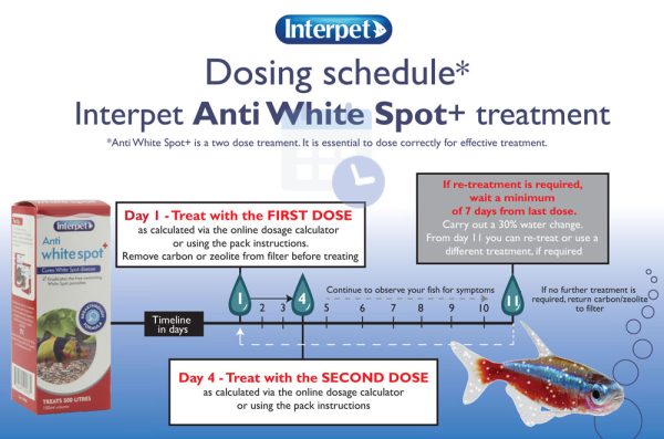 Treating white Spot (Ich) in Fish | Interpet