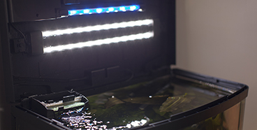 Aquarium Lighting - Interpet | Fish Tank Lighting Products