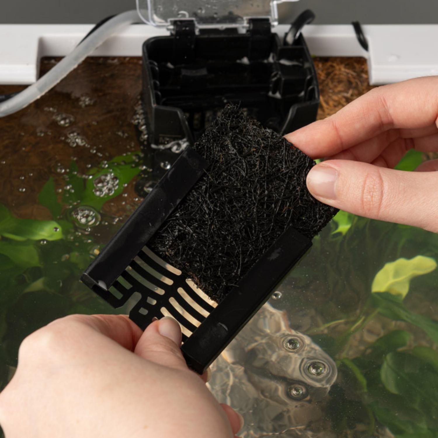 Interpet - 3 Month Service Pack for Bio-CF Mini Internal Cartridge Filter