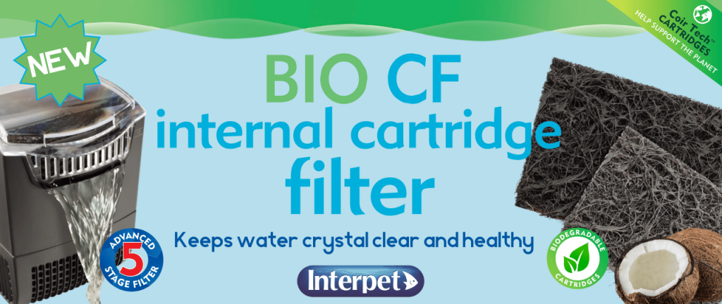 Home - Interpet | Experts In Aquarium Care & Fishkeeping