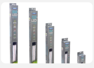 Home - Interpet | Experts In Aquarium Care & Fishkeeping