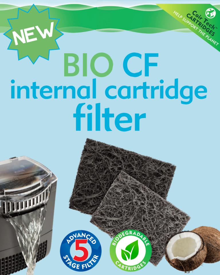 Home - Interpet | Experts In Aquarium Care & Fishkeeping