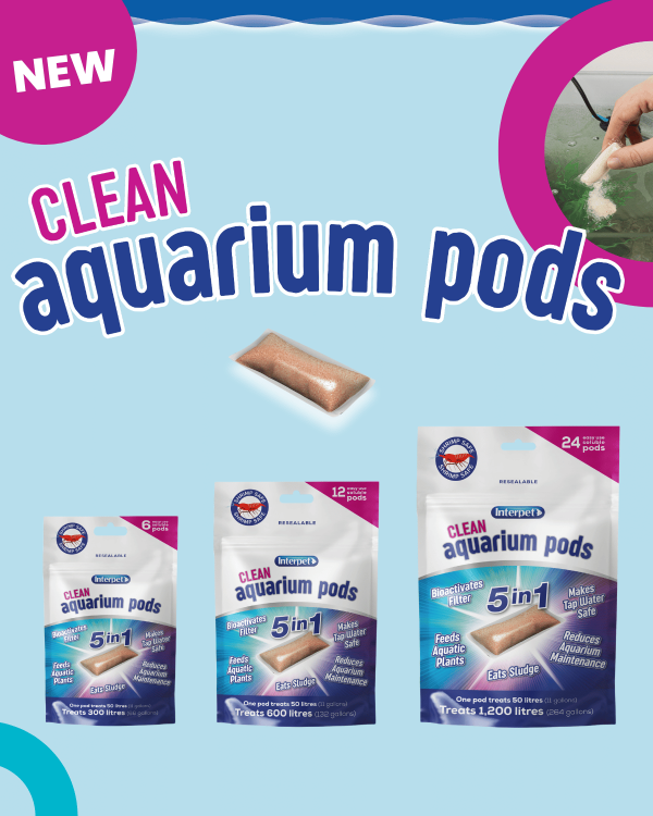 Home - Interpet | Experts In Aquarium Care & Fishkeeping