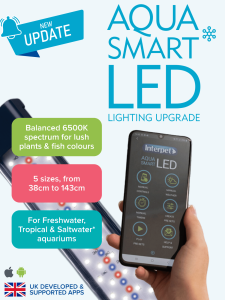 Home - Interpet | Experts In Aquarium Care & Fishkeeping